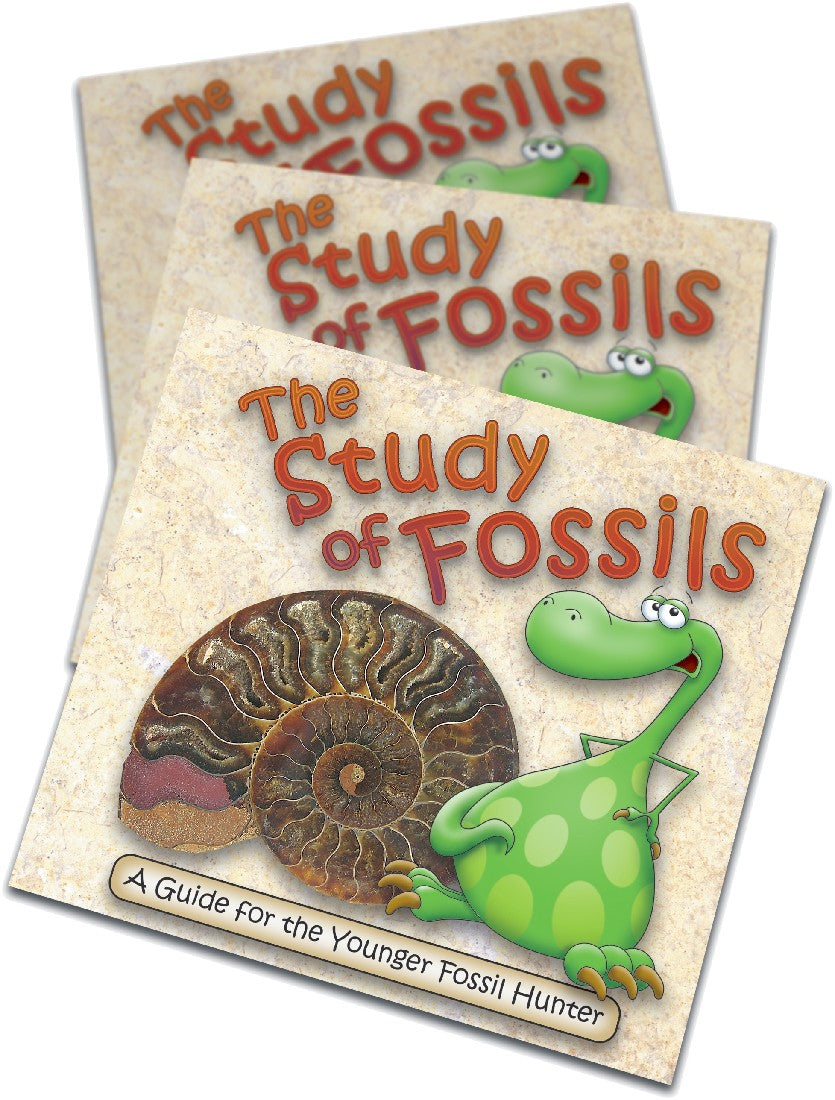 FOSSILS - THE STUDY OF FOSSILS BOOKLET – Treetop Toy Shop
